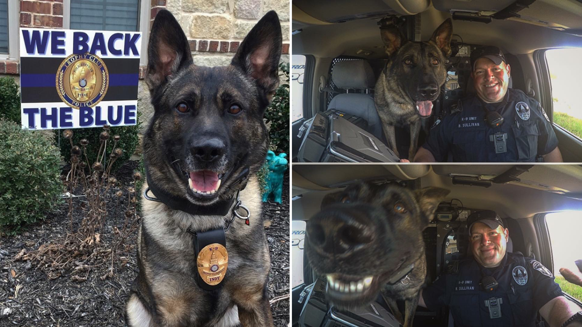 Texas K-9 retires after nearly a decade of service, gets heartfelt ...