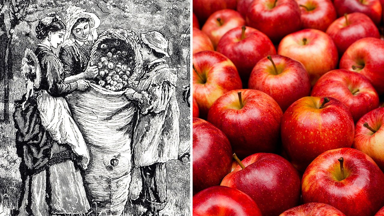 Meet the American who first planted apples in the colonies: William ...