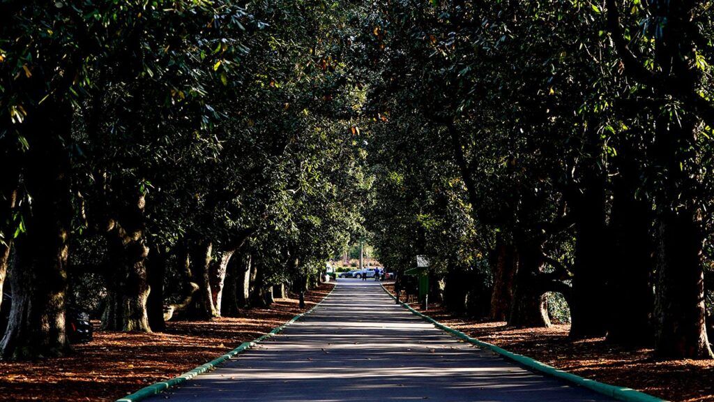 Augusta National assesses damage to course after ‘catastrophic and ...