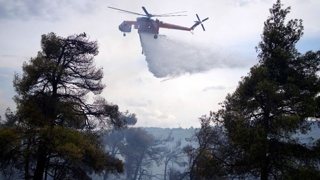 EU to deploy 650 firefighters to wildfire high-risk zones | World Wire ...