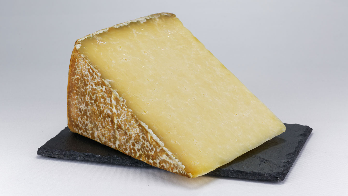 Climate change is coming for your cheese | World Wire Times