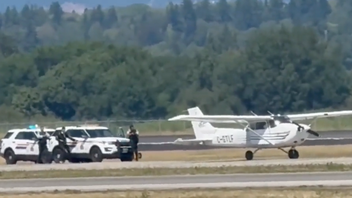Pilot with 'ideological motive' steals small aircraft and disrupts ...